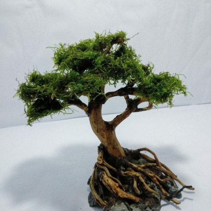 amimir
