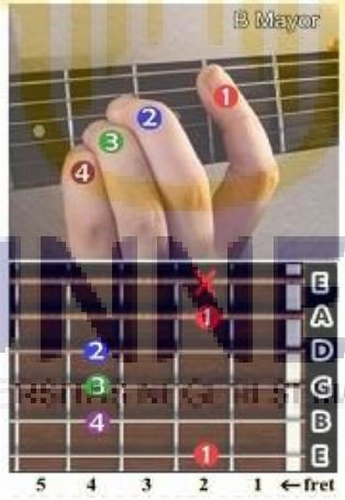 Kunci Dasar Gitar Lengkap dengan Gambar dan Panduannya