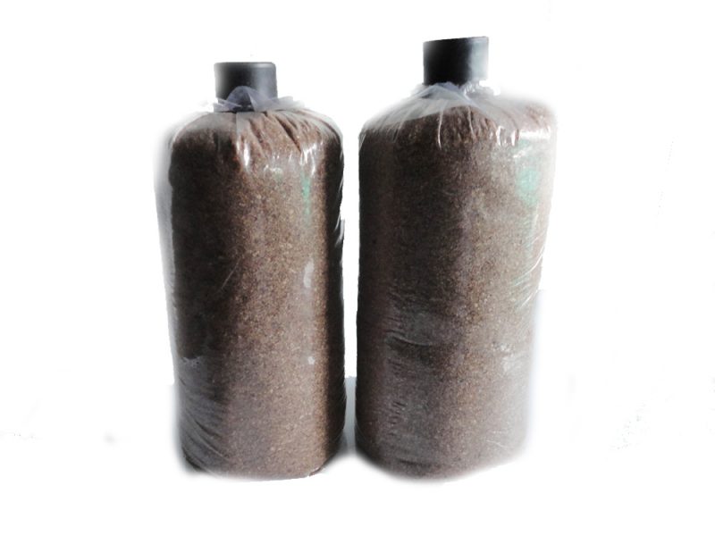 Peluang dan Panduan Budidaya Jamur Tiram - Best Seller Gramedia