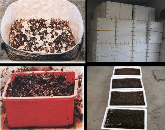 Panduan Cara Budidaya Cacing Tanah Yang Menguntungkan