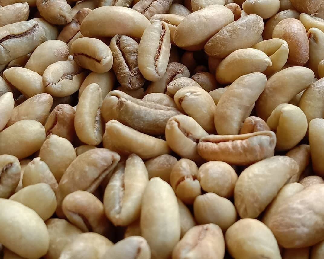 Jenis Kopi Populer & Jenis Kopi di Indonesia - Best Seller Gramedia