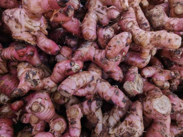 10 Manfaat Jahe Merah Bagi Kesehatan - Best Seller Gramedia