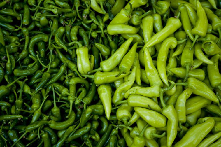 12 Cara Menanam Cabe dengan Mudah - Best Seller Gramedia