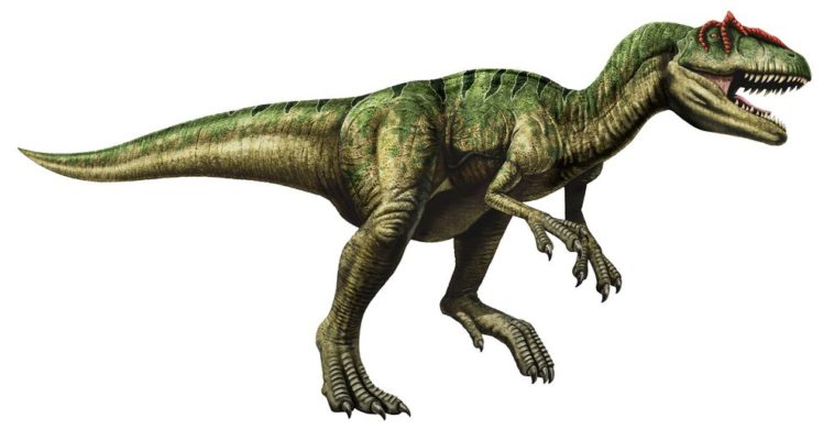Mengenal Jenis Dinosaurus yang Pernah Hidup Di Dunia - Gramedia