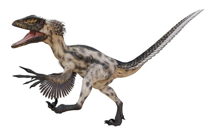 Mengenal Jenis Dinosaurus yang Pernah Hidup Di Dunia - Gramedia