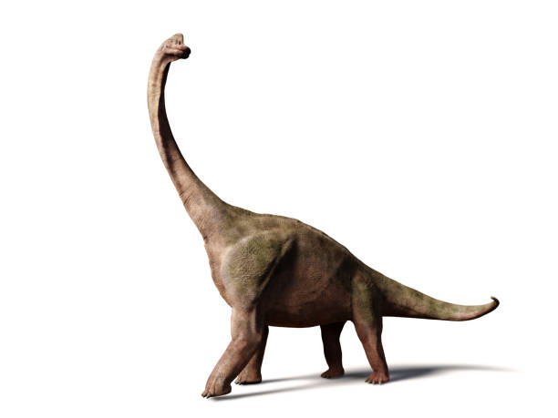 Mengenal Jenis Dinosaurus yang Pernah Hidup Di Dunia - Gramedia