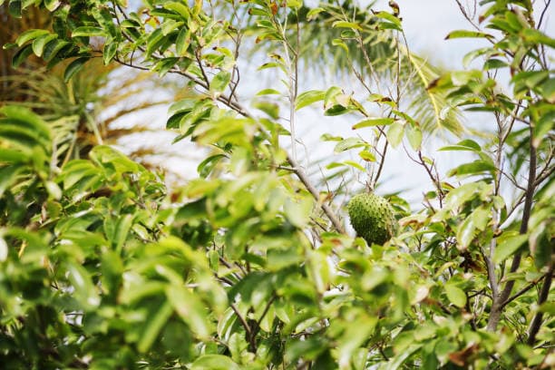 Cara Mengatasi Insomnia Menurut Islam – iFaWorldCup.com