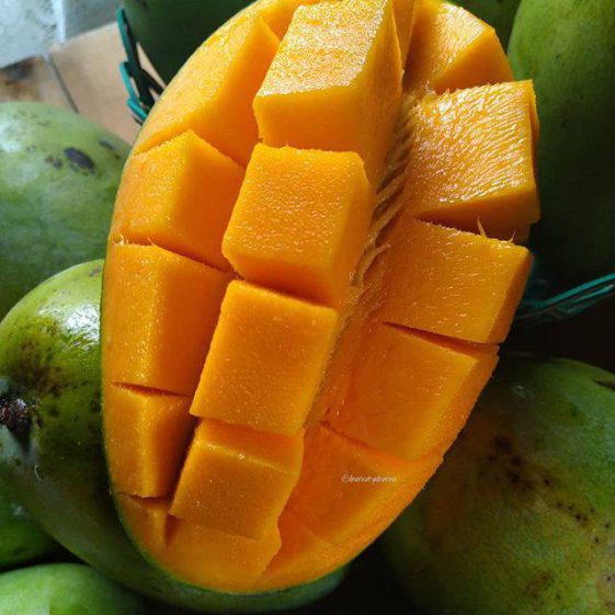10+ Ragam Jenis Mangga Lokal dan Manca Negara - Gramedia