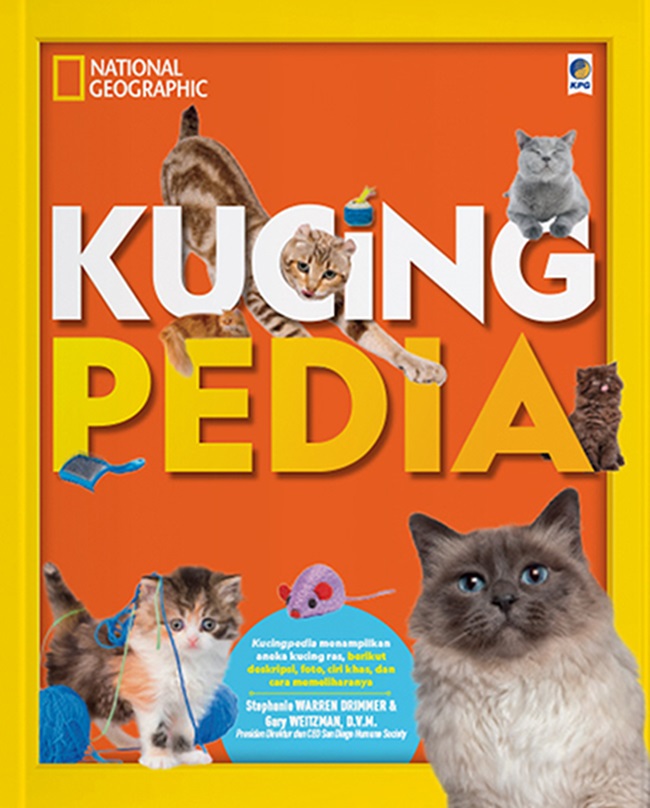 Kucing Odd Eye: Ciri Fisik, Harga, Cara Perawatan, dan Fakta Uniknya