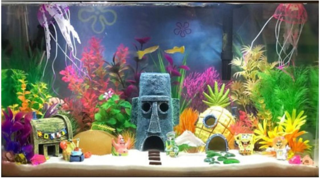 20 Macam Hiasan Akuarium: Ide Unik untuk Mempercantik Akuarium