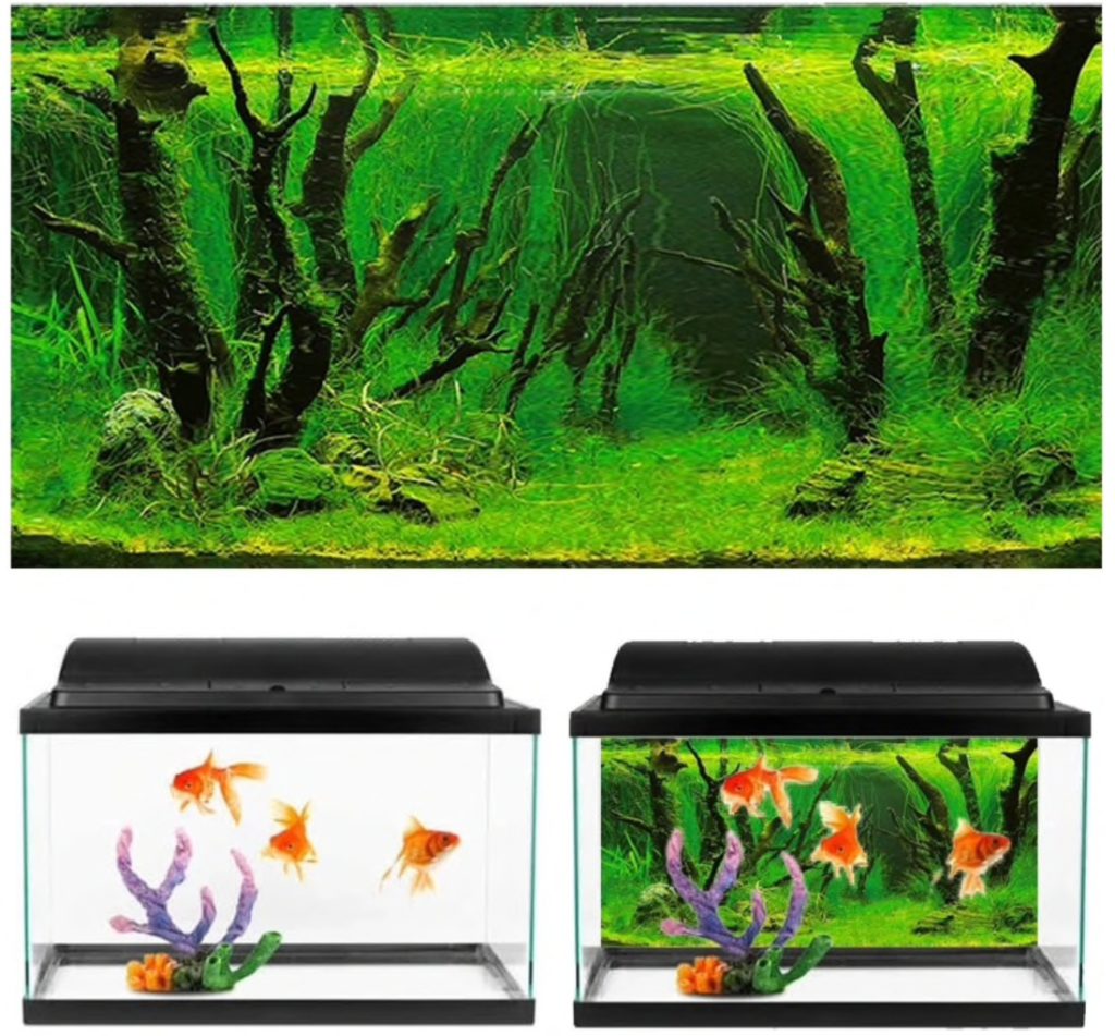 20 Macam Hiasan Akuarium: Ide Unik untuk Mempercantik Akuarium