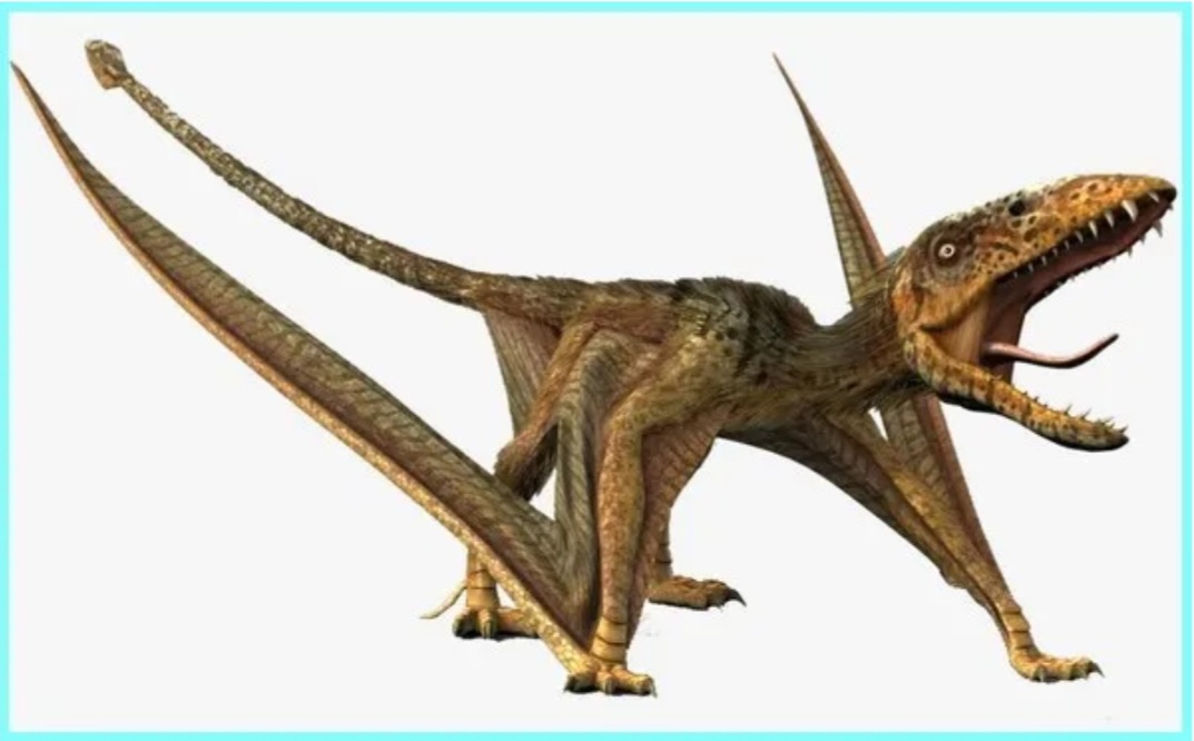 Mengenal 11 Ragam Dinosaurus Terbang dan Karakternya