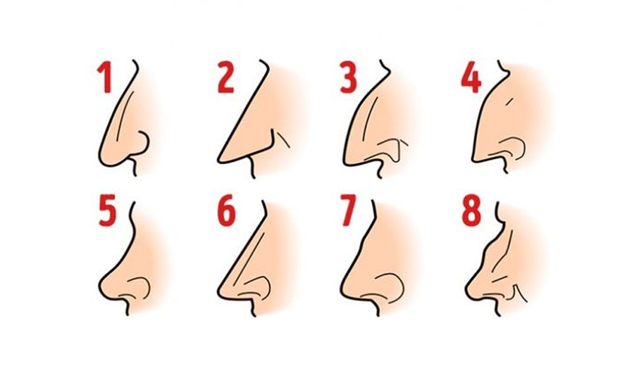11 Bentuk Hidung dan Hubungannya dengan Kepribadian Pemiliknya