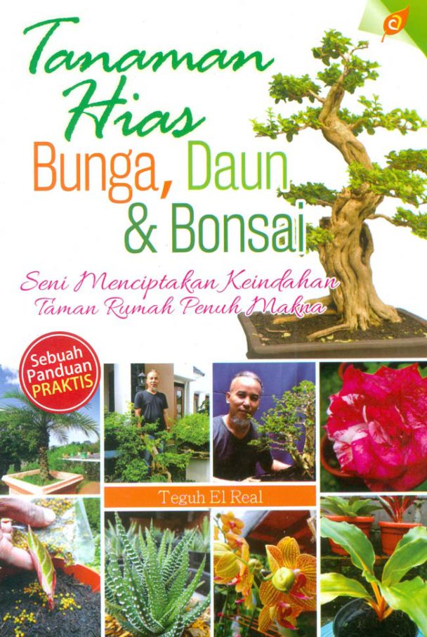 Mengenal Bentuk, Kriteria, dan Jenis Tanaman Bonsai