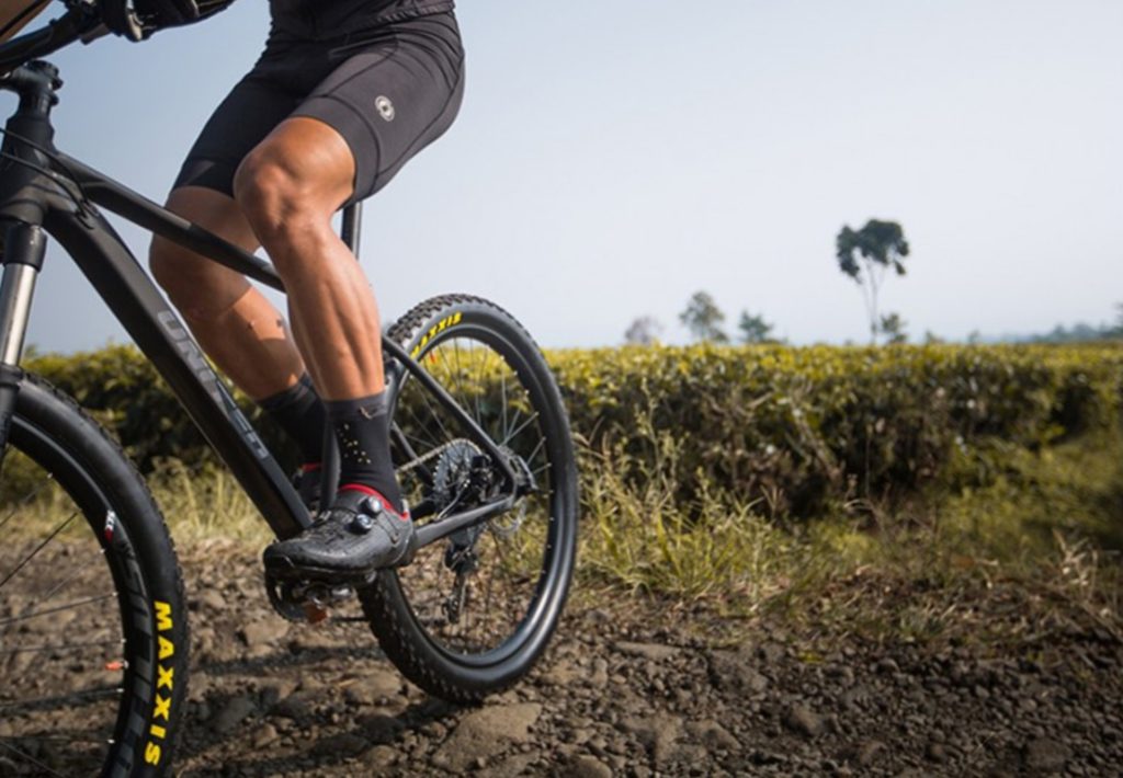 13 Rekomendasi Merk Sepeda Terbaik yang Perlu Diketahui