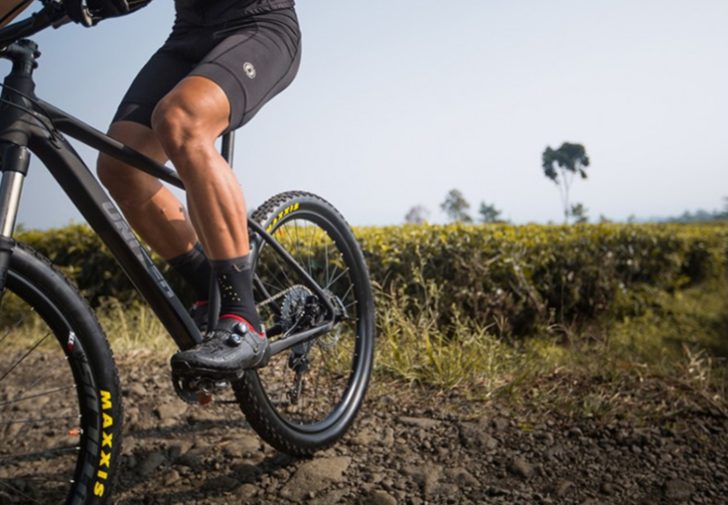 13 Rekomendasi Merk Sepeda Terbaik yang Perlu Diketahui