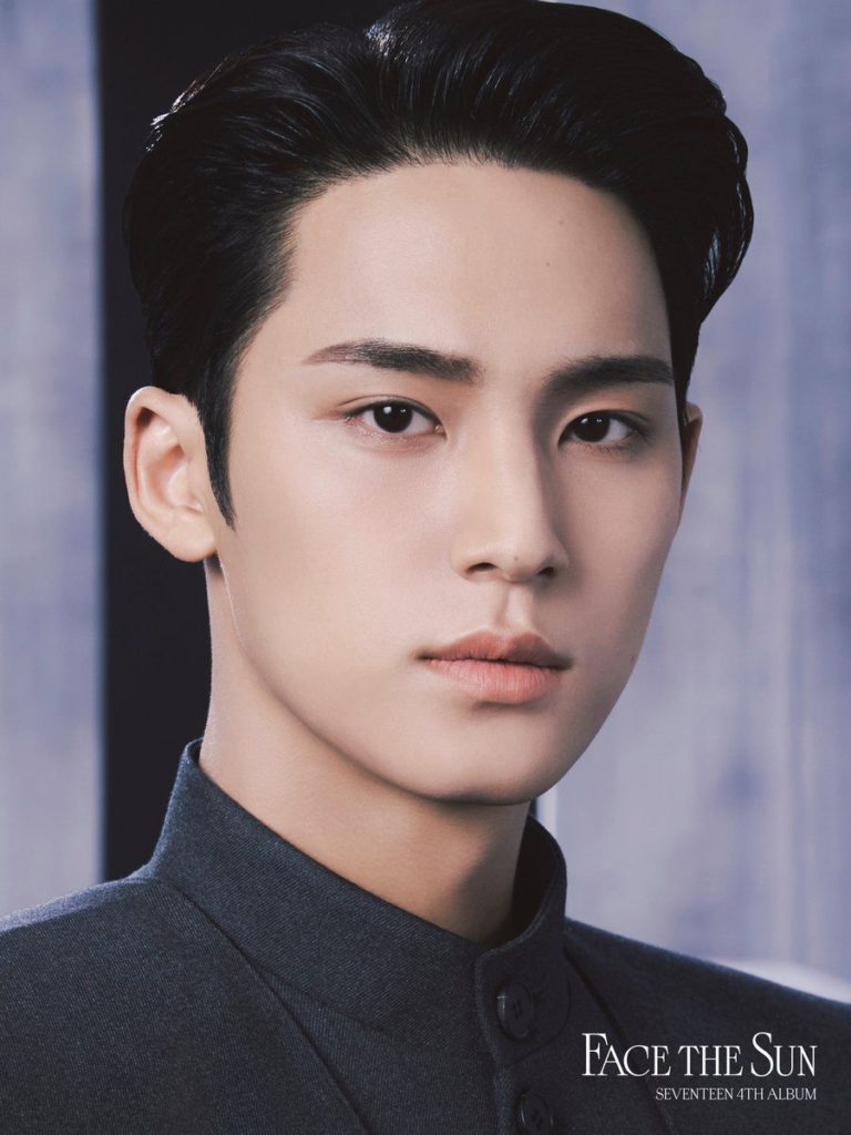 Yuk, Berkenalan Dengan 13 Member Seventeen! - Best Seller Gramedia