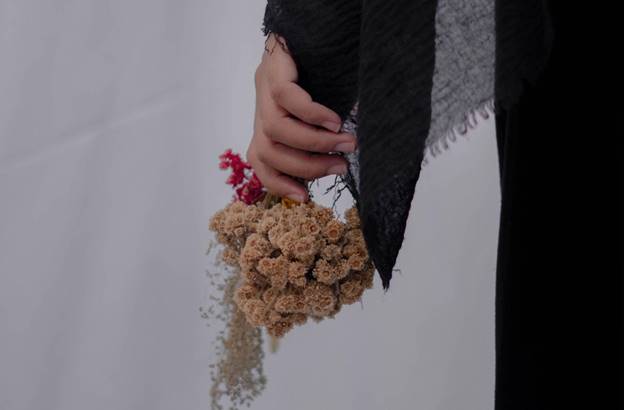 7 Fakta Bunga Edelweis: Alasan Tak Boleh Dipetik dan Mitos Lainnya