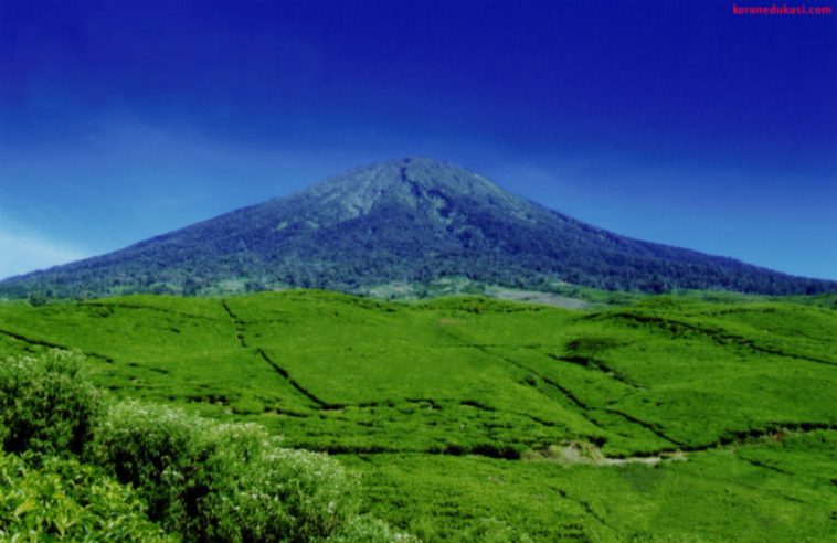 Gunung di Sumatera: 14 Gunung Tertinggi, Beberapa Masih Aktif! - Best ...