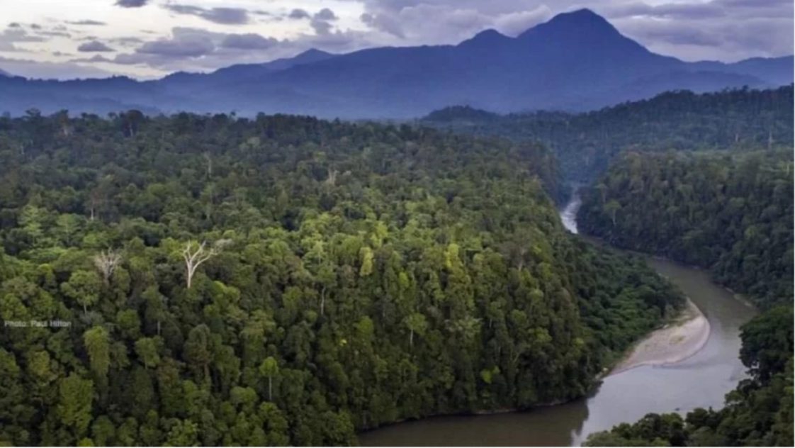 Gunung di Sumatera: 14 Gunung Tertinggi, Beberapa Masih Aktif! - Best ...