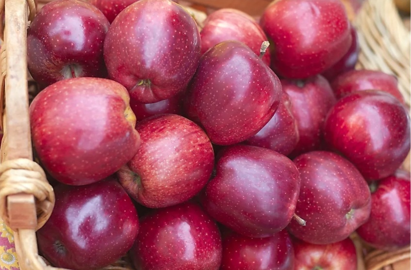 Ragam Jenis Apel dan Manfaatnya Bagi Tubuh - Best Seller Gramedia