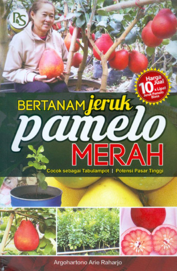 16 Jenis-Jenis Jeruk di Seluruh Dunia, Mana yang Populer?