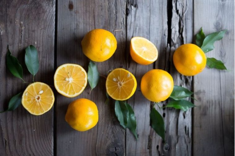 16 Jenis-Jenis Jeruk di Seluruh Dunia, Mana yang Populer?