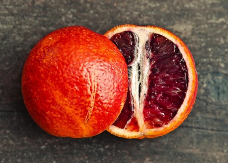 16 Jenis-Jenis Jeruk di Seluruh Dunia, Mana yang Populer?