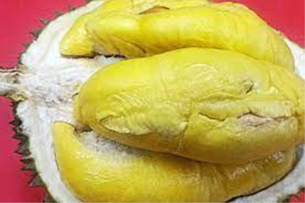Ragam Jenis-jenis Durian Unggul yang digemari Masyarakat Indonesia