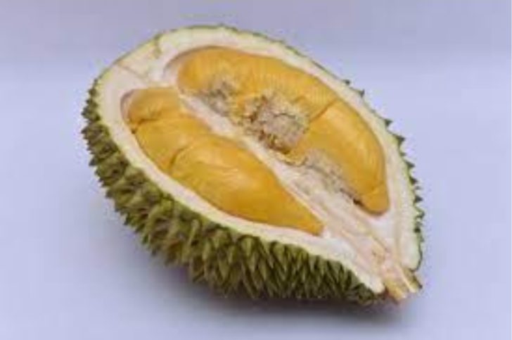 Ragam Jenis-jenis Durian Unggul yang digemari Masyarakat Indonesia