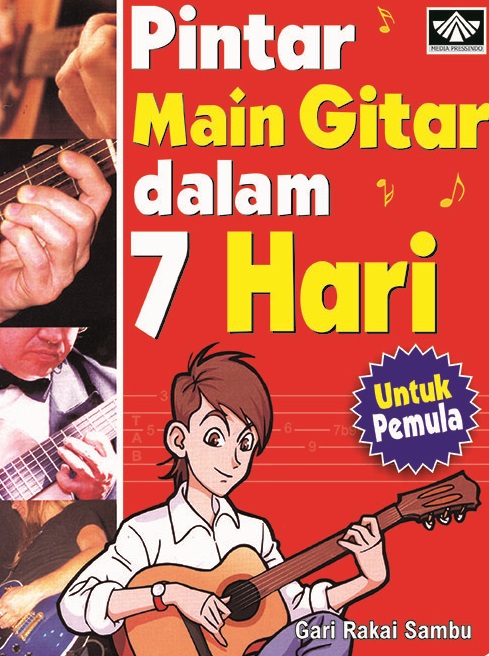 8 Contoh Alat Musik Petik Beserta Sejarah dan Cara Memainkannya