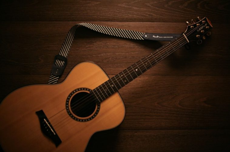 8 Contoh Alat Musik Petik Beserta Sejarah dan Cara Memainkannya