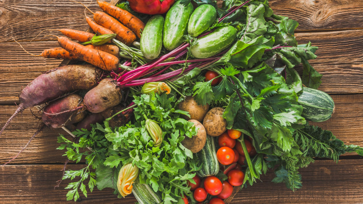 15 Jenis Tanaman Palawija: Si Sumber Pangan Pengganti Sejuta Manfaat