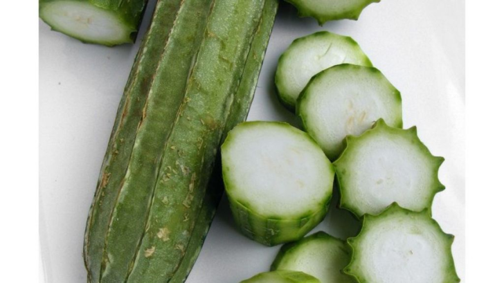 15 Jenis Tanaman Palawija: Si Sumber Pangan Pengganti Sejuta Manfaat