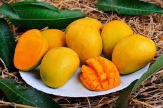 25 Jenis-jenis Mangga Lokal dan Mancanegara yang Nikmat
