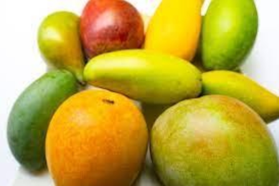 25 Jenis-jenis Mangga Lokal dan Mancanegara yang Nikmat