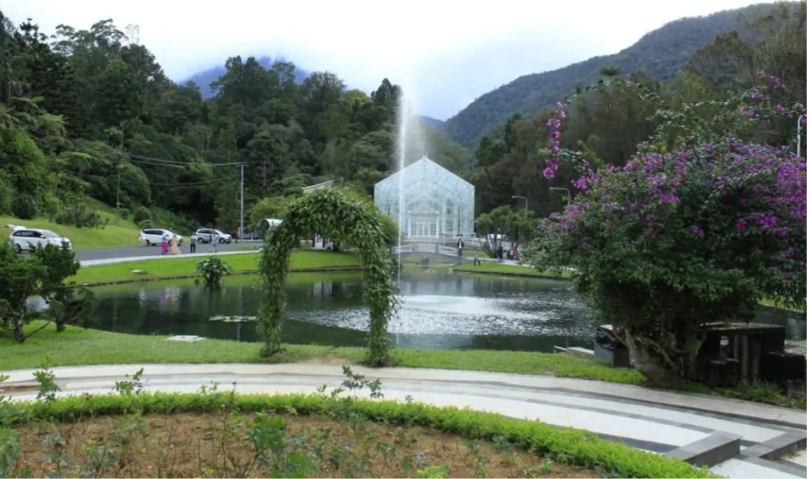 8 Tempat Wisata di Puncak Bogor yang Seru dan Asyik