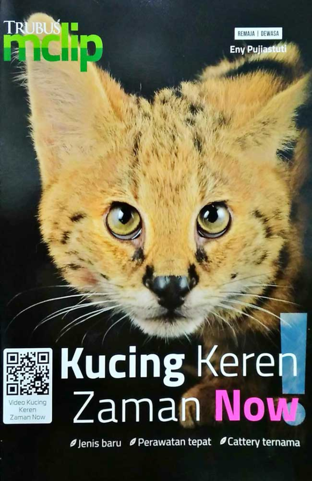 9 Fakta Menarik Kucing Calico yang Menggemaskan dan Jenis-Nya!
