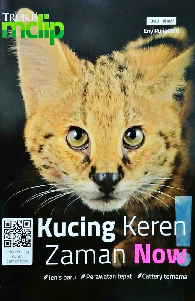 9 Fakta Menarik Kucing Calico yang Menggemaskan dan Jenis-Nya!