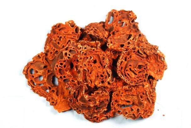 12 Manfaat Sarang Semut yang Perlu Kamu Tahu serta Kandungan-Nya!