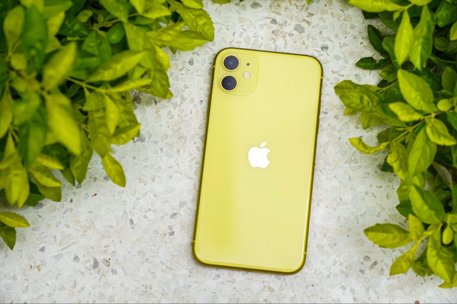 Beda iPhone 11 dan 12: Mana yang Lebih Baik di Antara Adik-Kakak Ini?