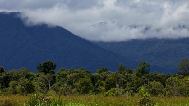 Nama Gunung di Kalimantan yang Perlu Kamu Tahu - Gramedia