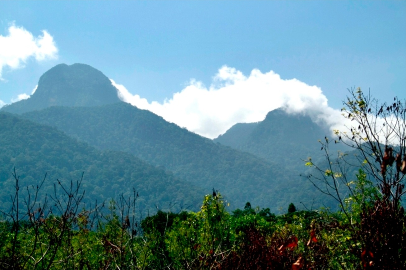 Nama Gunung di Kalimantan yang Perlu Kamu Tahu - Gramedia
