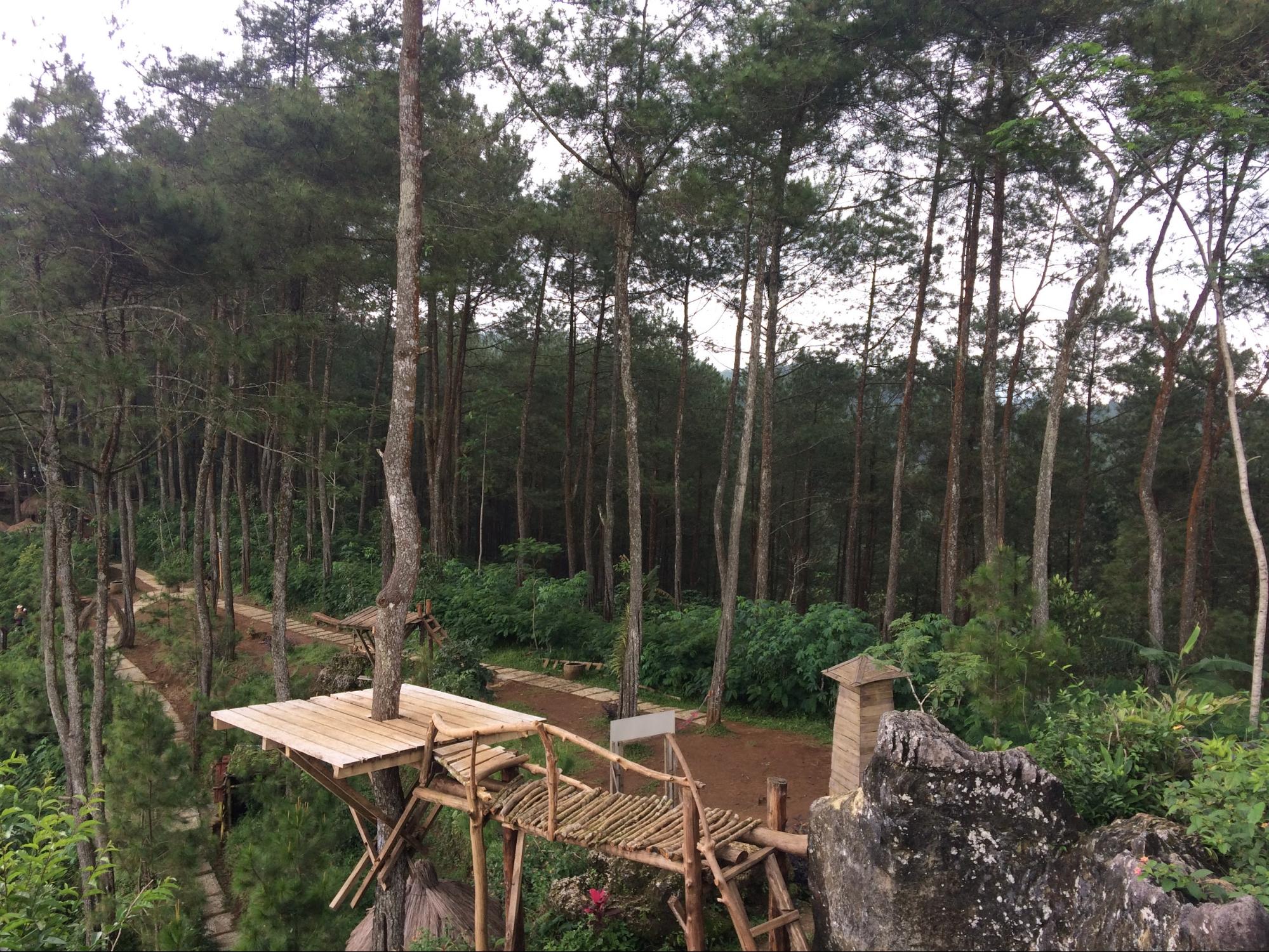 26 Wisata Purworejo dan Kuliner Khasnya yang Perlu Kamu Tahu!