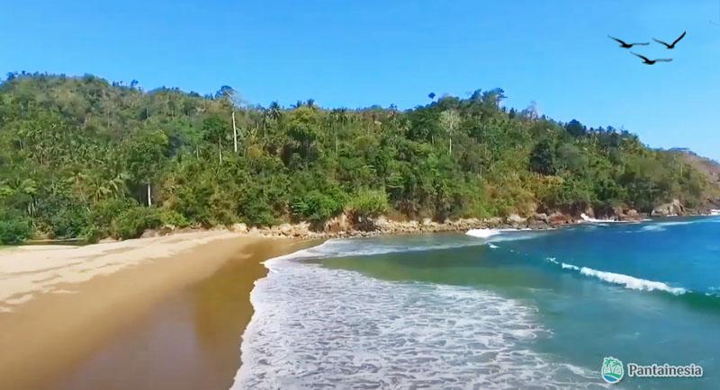 17 Rekomendasi Wisata Pantai di Malang yang Wajib untuk Dikunjungi!