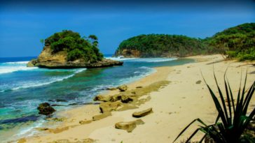 17 Rekomendasi Wisata Pantai di Malang yang Wajib untuk Dikunjungi!