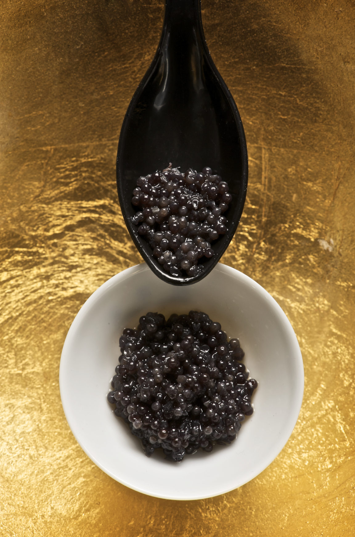Mengenal Manfaat, Harga, dan Olahan Telur Caviar - Best Seller Gramedia