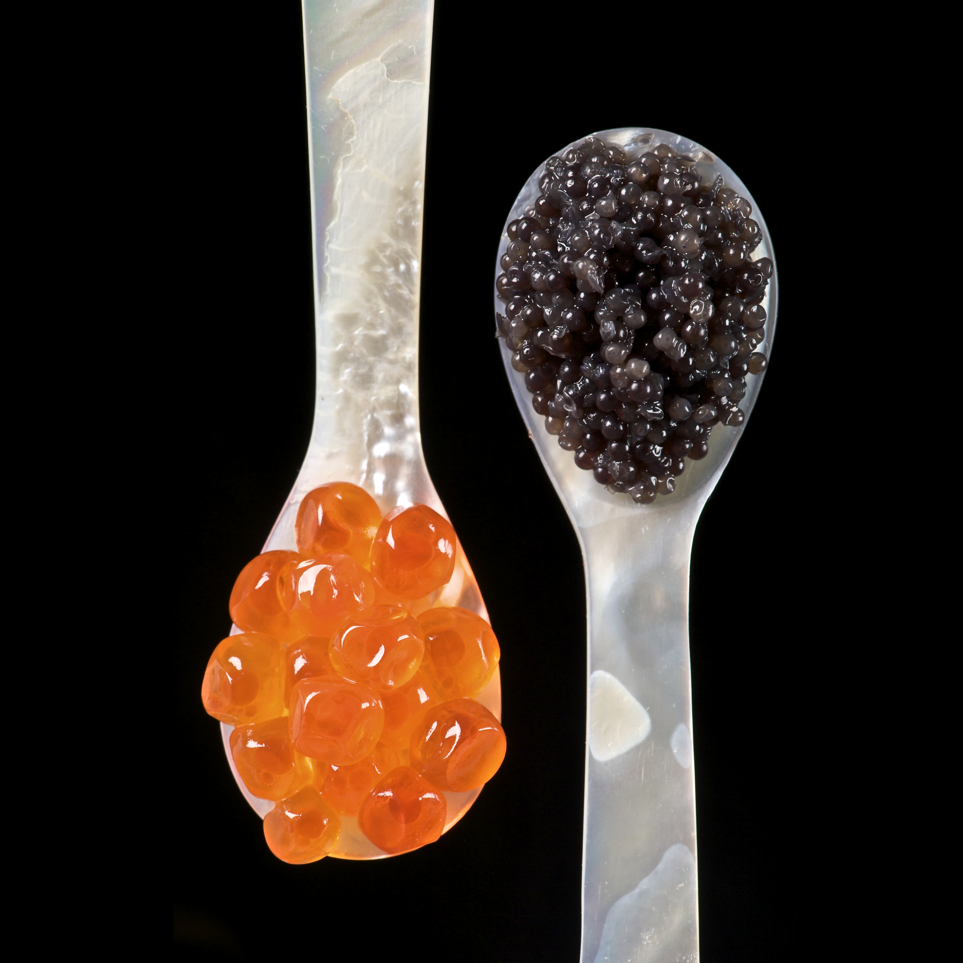 Mengenal Manfaat, Harga, dan Olahan Telur Caviar - Best Seller Gramedia