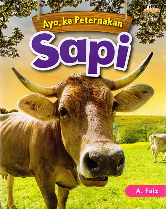 11 Jenis Sapi Ternak Di Indonesia Beserta Manfaat Bagi Kesehatan!