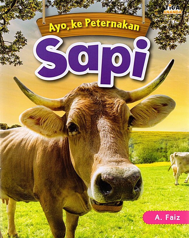 11 Jenis Sapi Ternak Di Indonesia Beserta Manfaat Bagi Kesehatan!